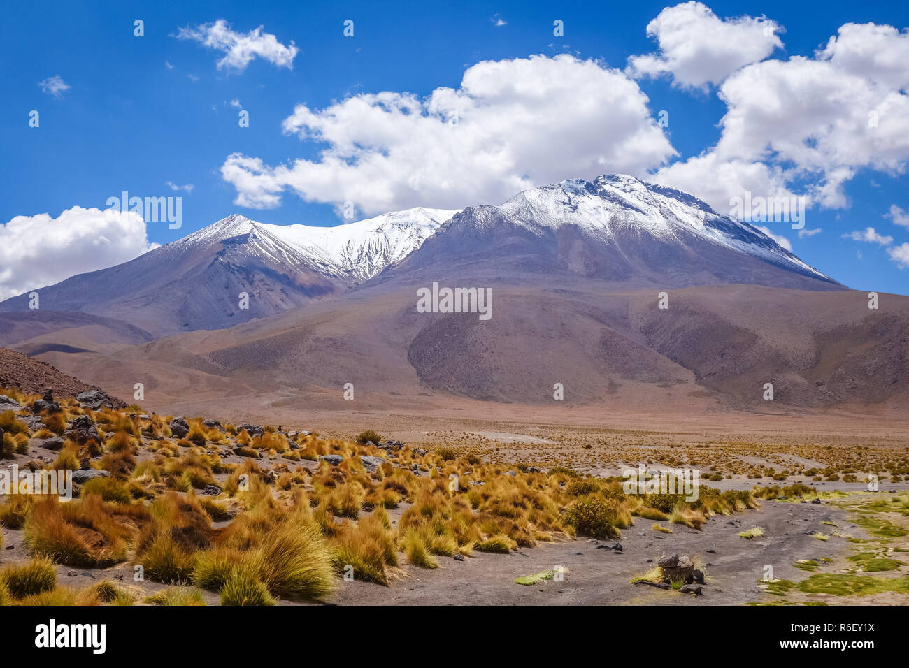 Altiplano mountains in sud lipez reserva eduardo avaroa hi-res stock ...