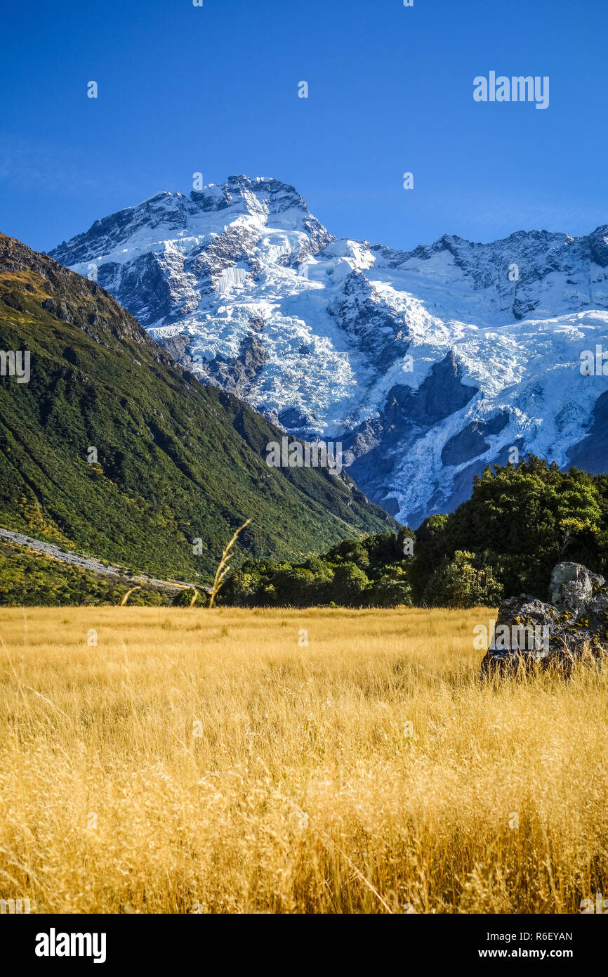 Mount Cook valley landscape, New Zealand Stock Photo - Alamy