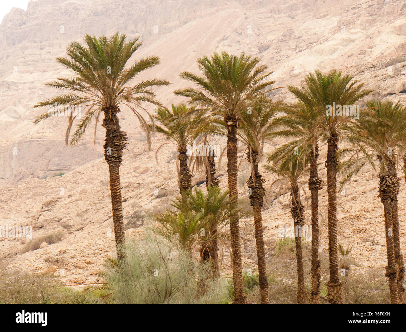 Landscape of the Negev desert in Israel Stock Photo - Alamy