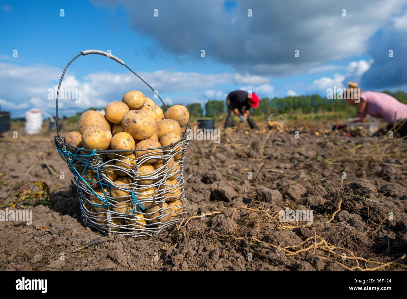Old potato sacks hi-res stock photography and images - Alamy