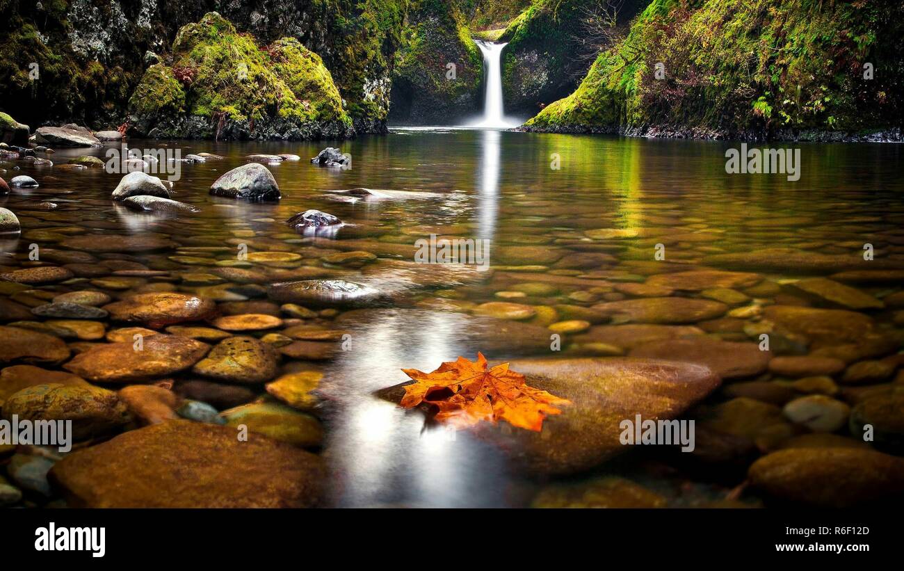 Beautiful Natural picture Stock Photo - Alamy