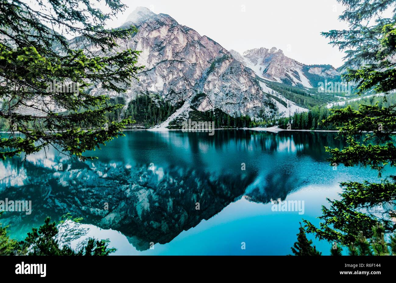 Beautiful Natural picture Stock Photo - Alamy