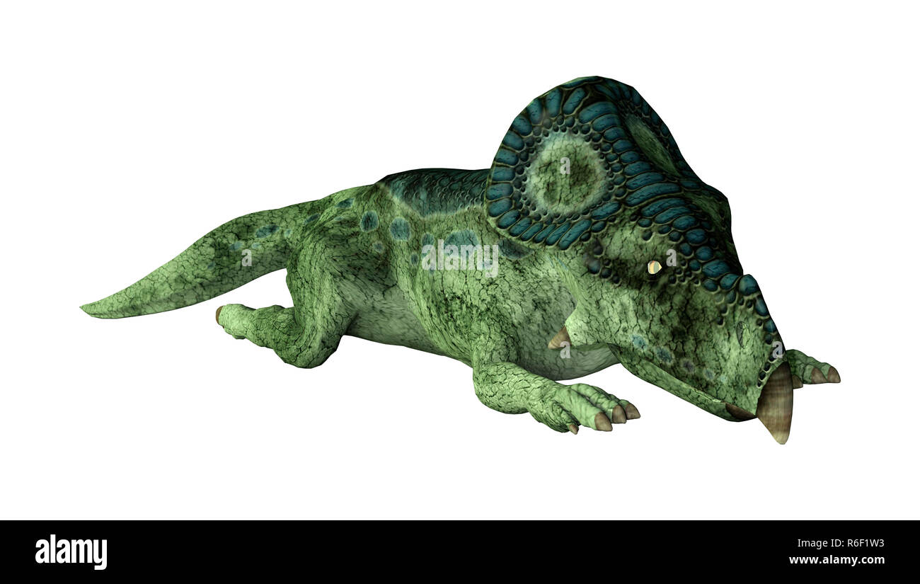 3D Rendering Dinosaur Protoceratops on White Stock Photo - Alamy