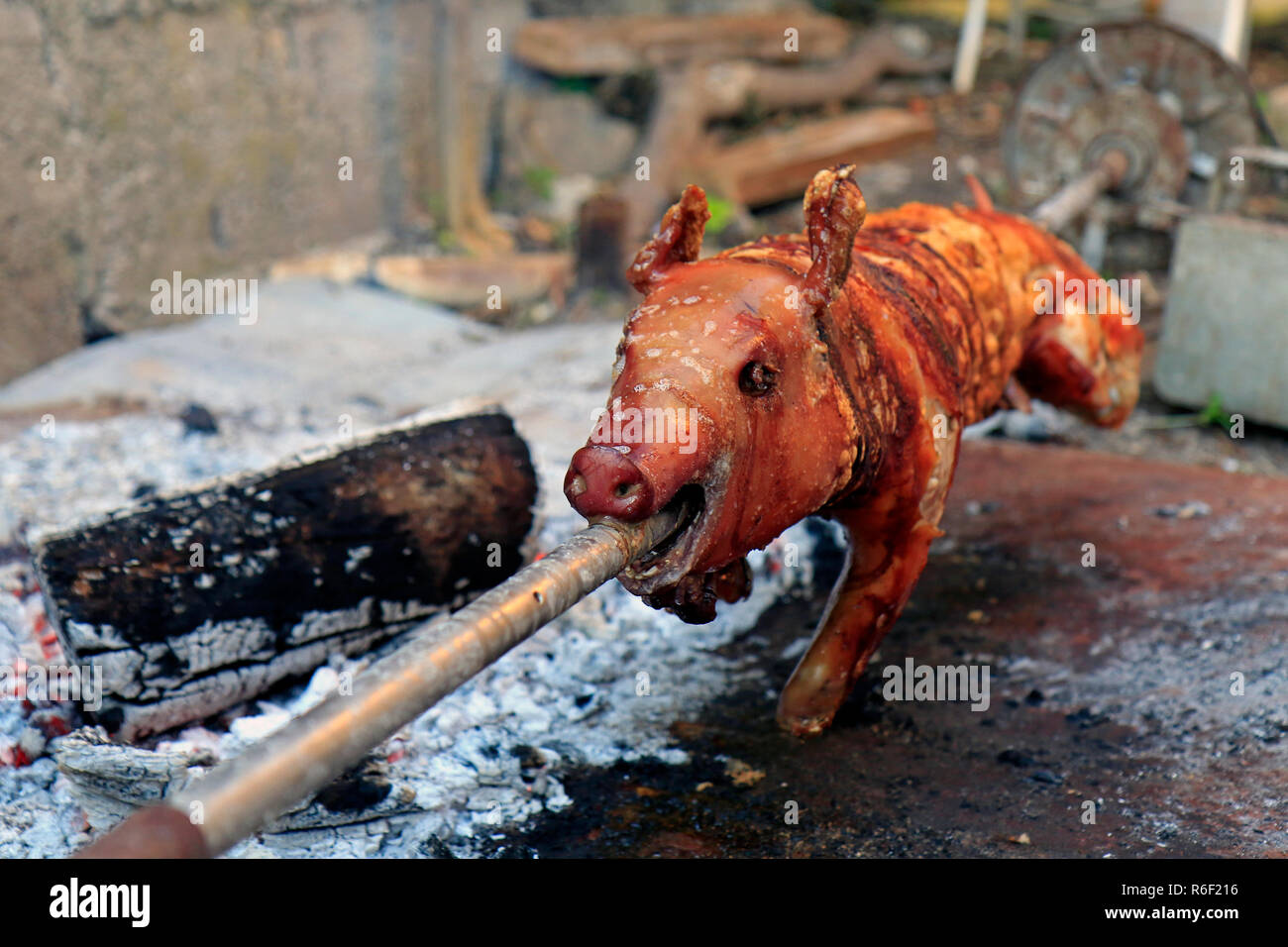 Just roasted suckling pig on a spit Stock Photo - Alamy