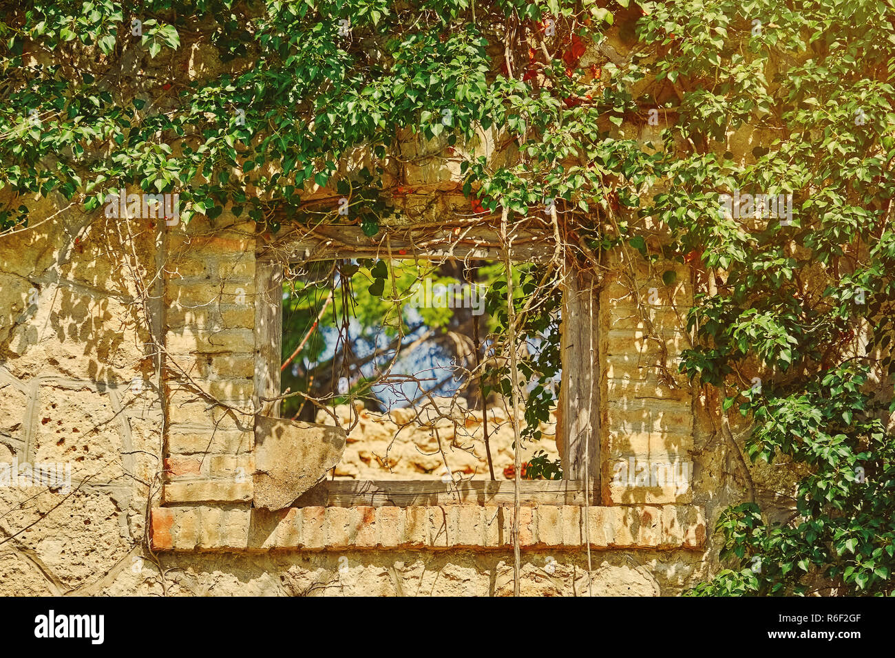 Window of an Old Building Stock Photo - Alamy