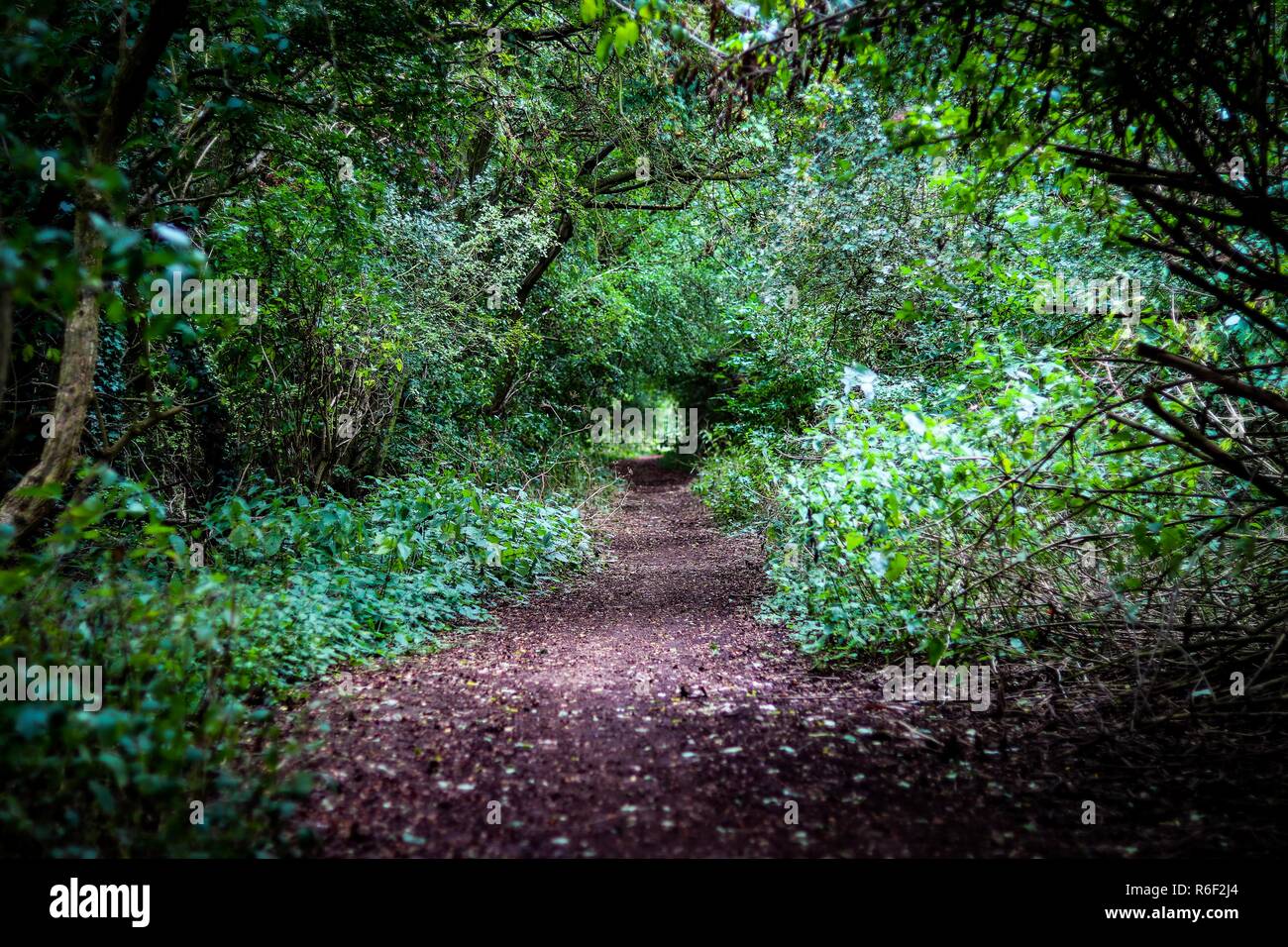 Path to Adventure Stock Photo - Alamy