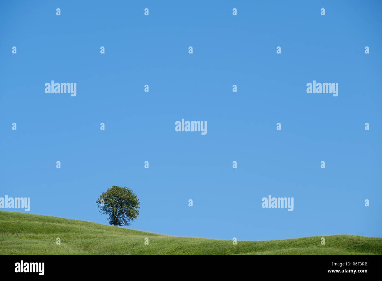 Lonely little hi-res stock photography and images - Alamy