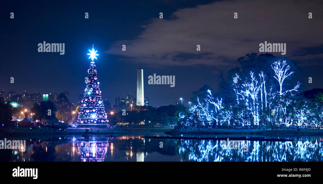 Christmas tree and lighted trees in Ibirapuera Park at night in ...