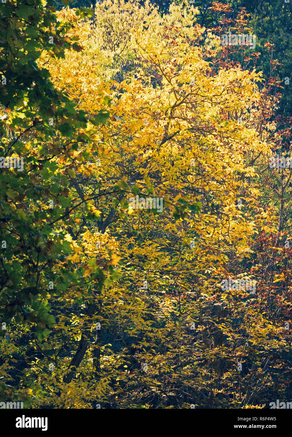 Parque Natural del Monasterio de Piedra, Zaragoza Province, Aragon ...