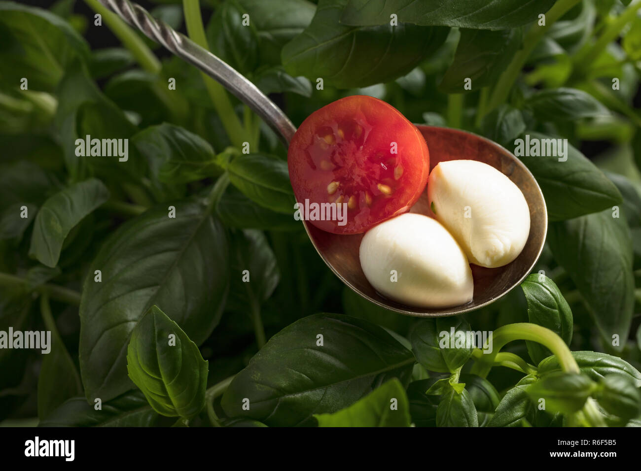 Mini mozzarella cheese balls, cherry tomatoes and green basil ...