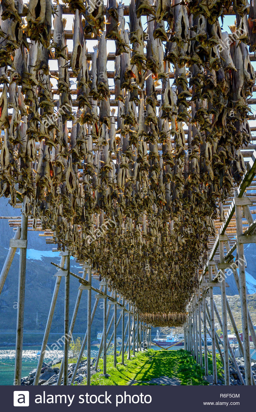Fish Drying Flake Stock Photos & Fish Drying Flake Stock Images - Alamy