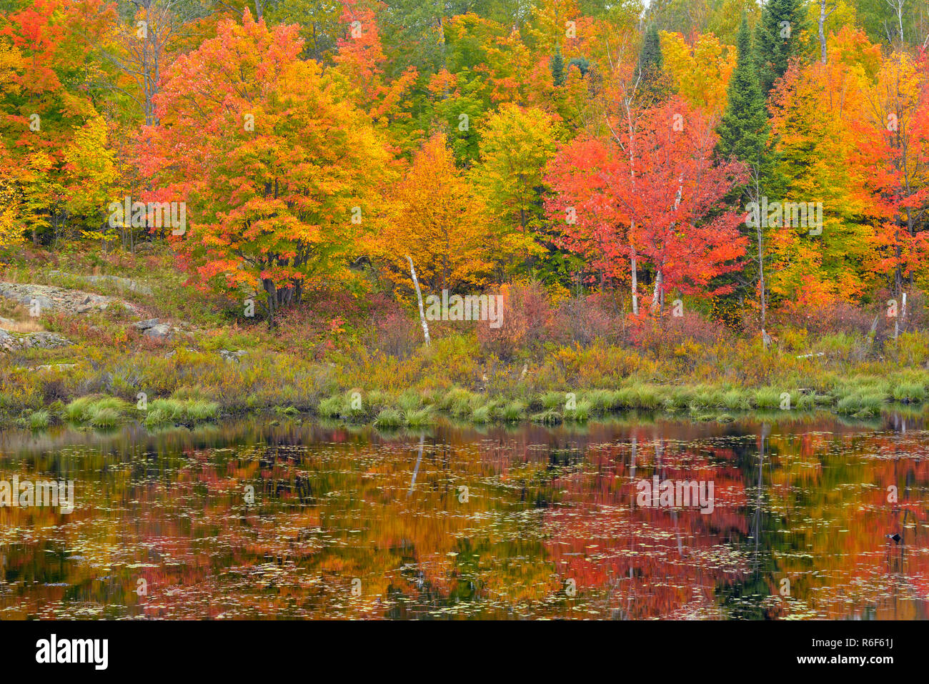 Shawanaga first nation hi-res stock photography and images - Alamy