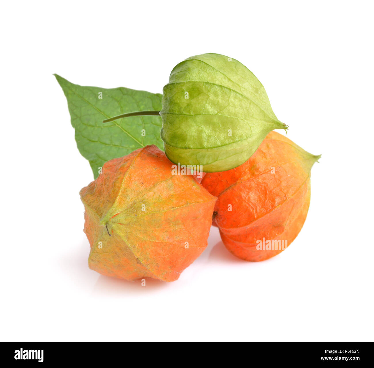 Physalis. Other names poha berries, simply golden berries ...