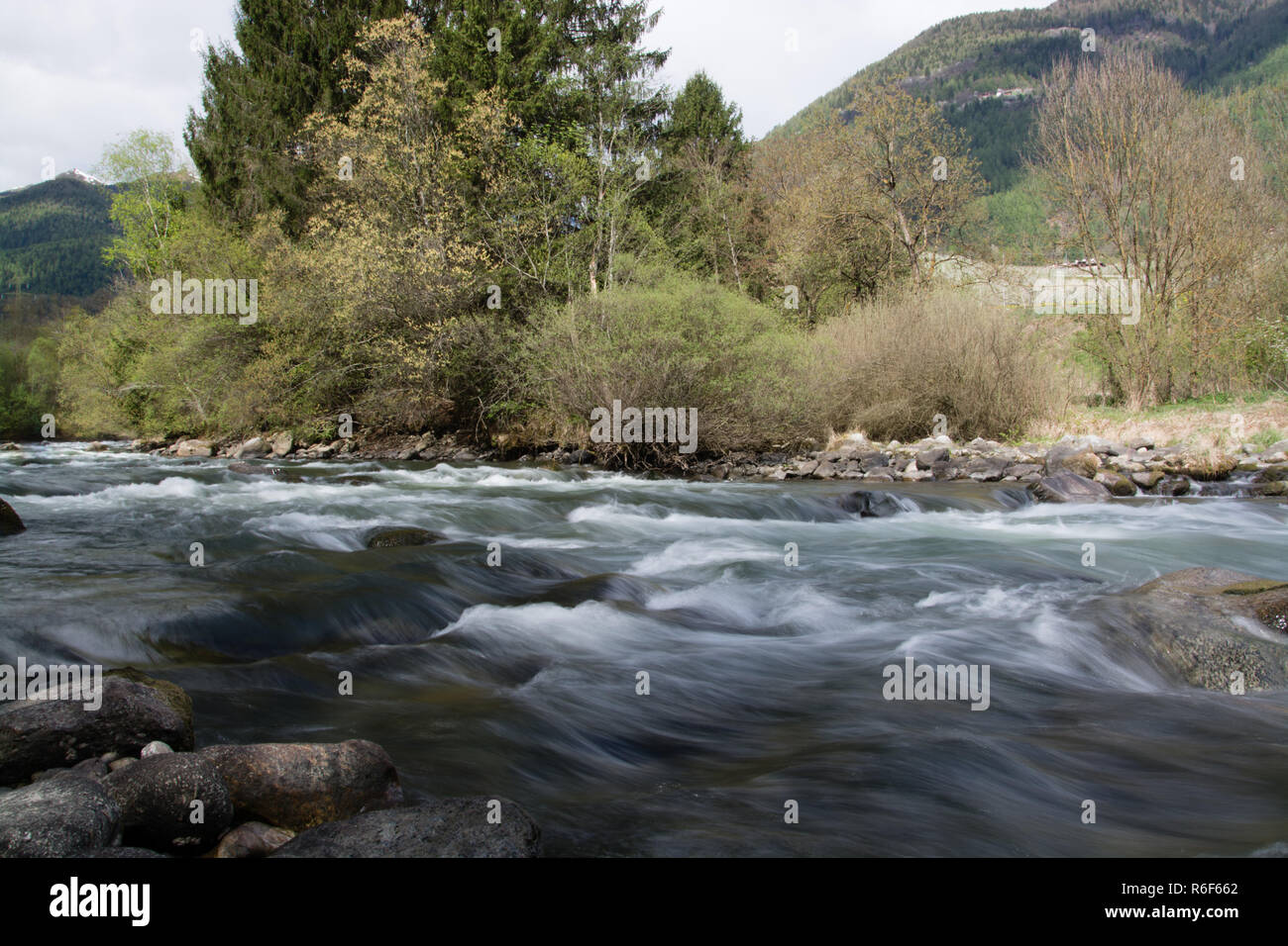Noce river italy hi-res stock photography and images - Alamy