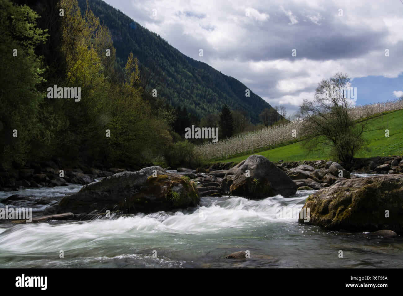 Noce river italy hi-res stock photography and images - Alamy