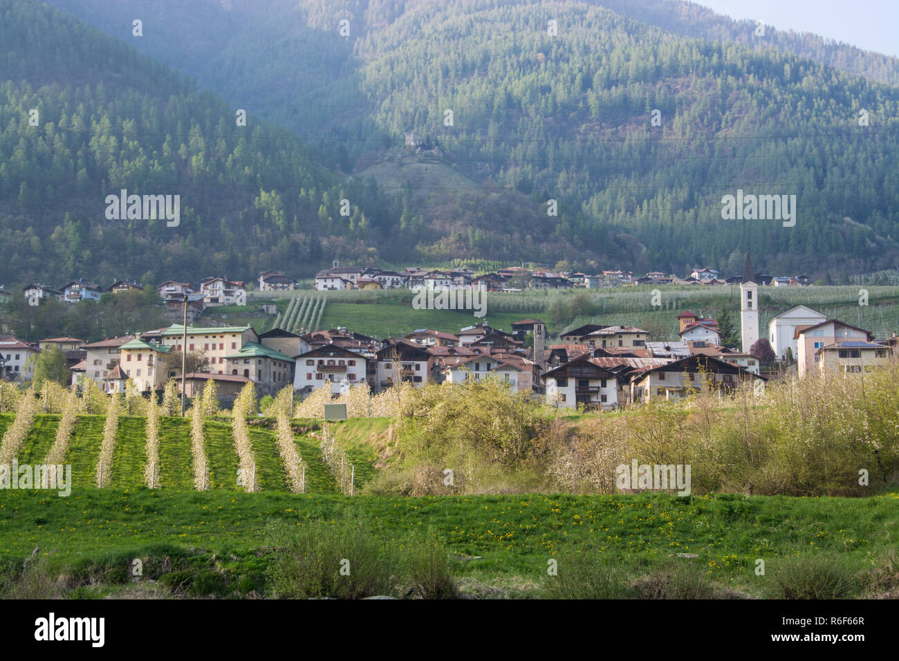 Caldes castle hi-res stock photography and images - Alamy