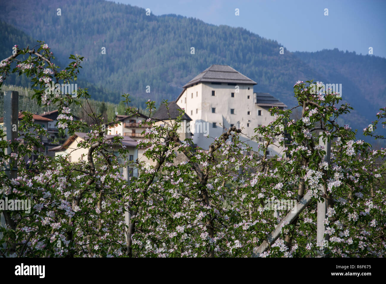 Caldes castle hi-res stock photography and images - Alamy