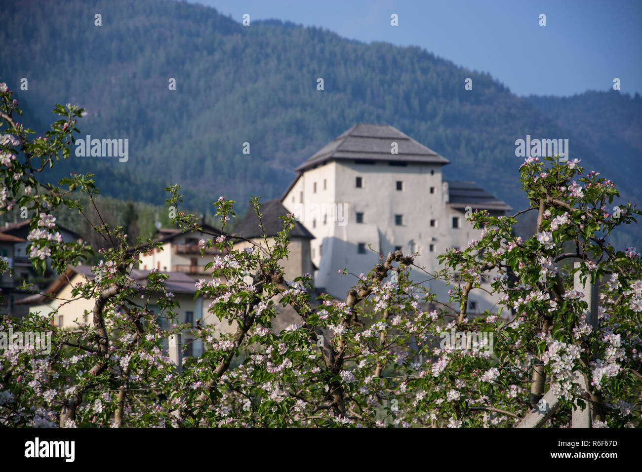 Caldes castle hi-res stock photography and images - Alamy