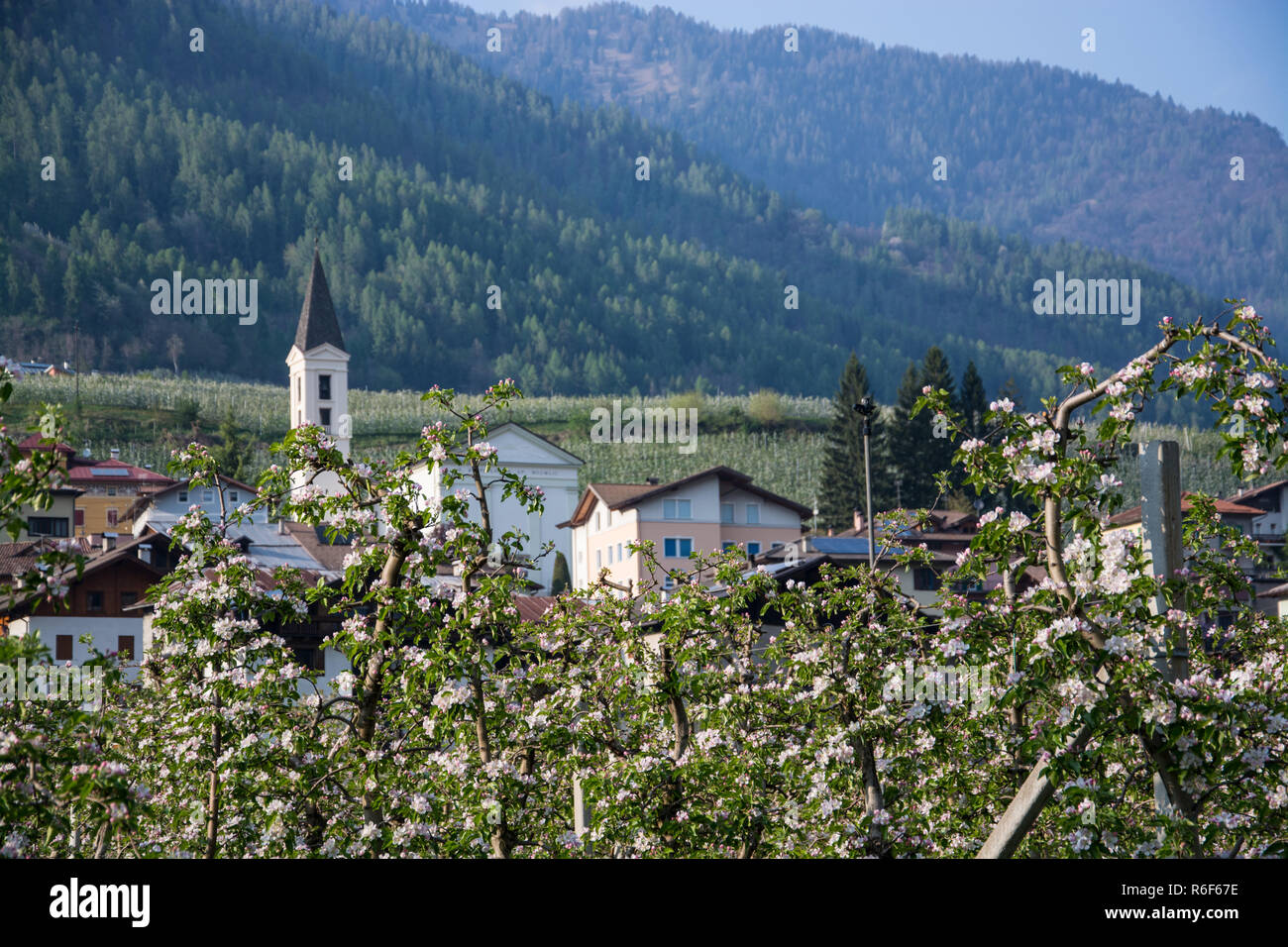 Caldes castle hi-res stock photography and images - Alamy