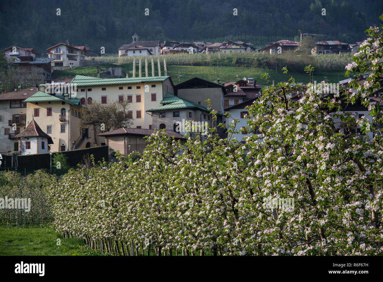 Caldes castle hi-res stock photography and images - Alamy