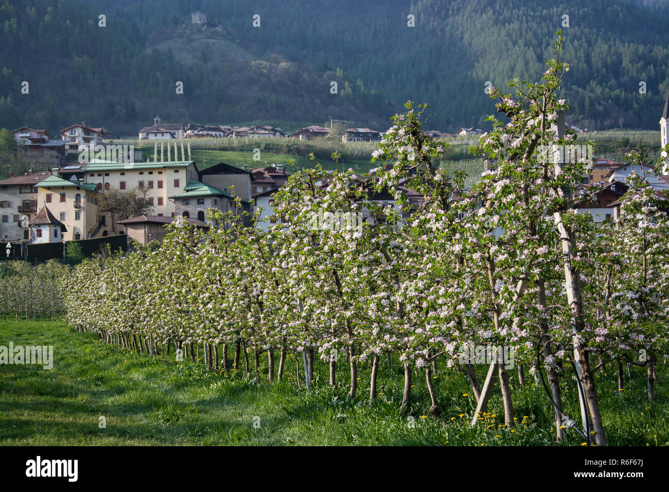 Caldes castle hi-res stock photography and images - Alamy