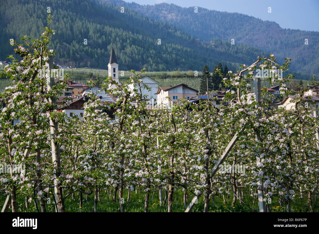 Caldes castle hi-res stock photography and images - Alamy