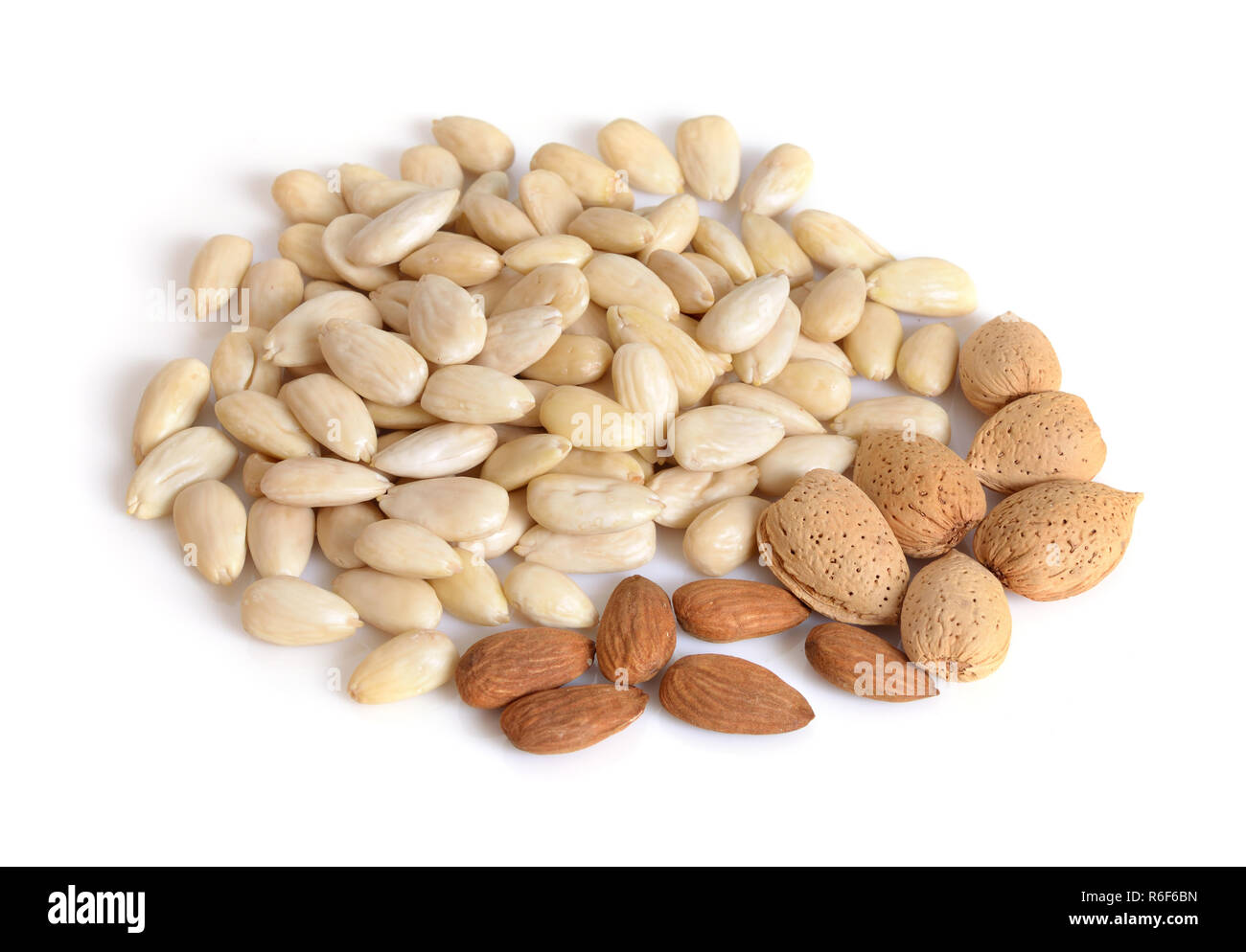 Blanch brown hi-res stock photography and images - Alamy