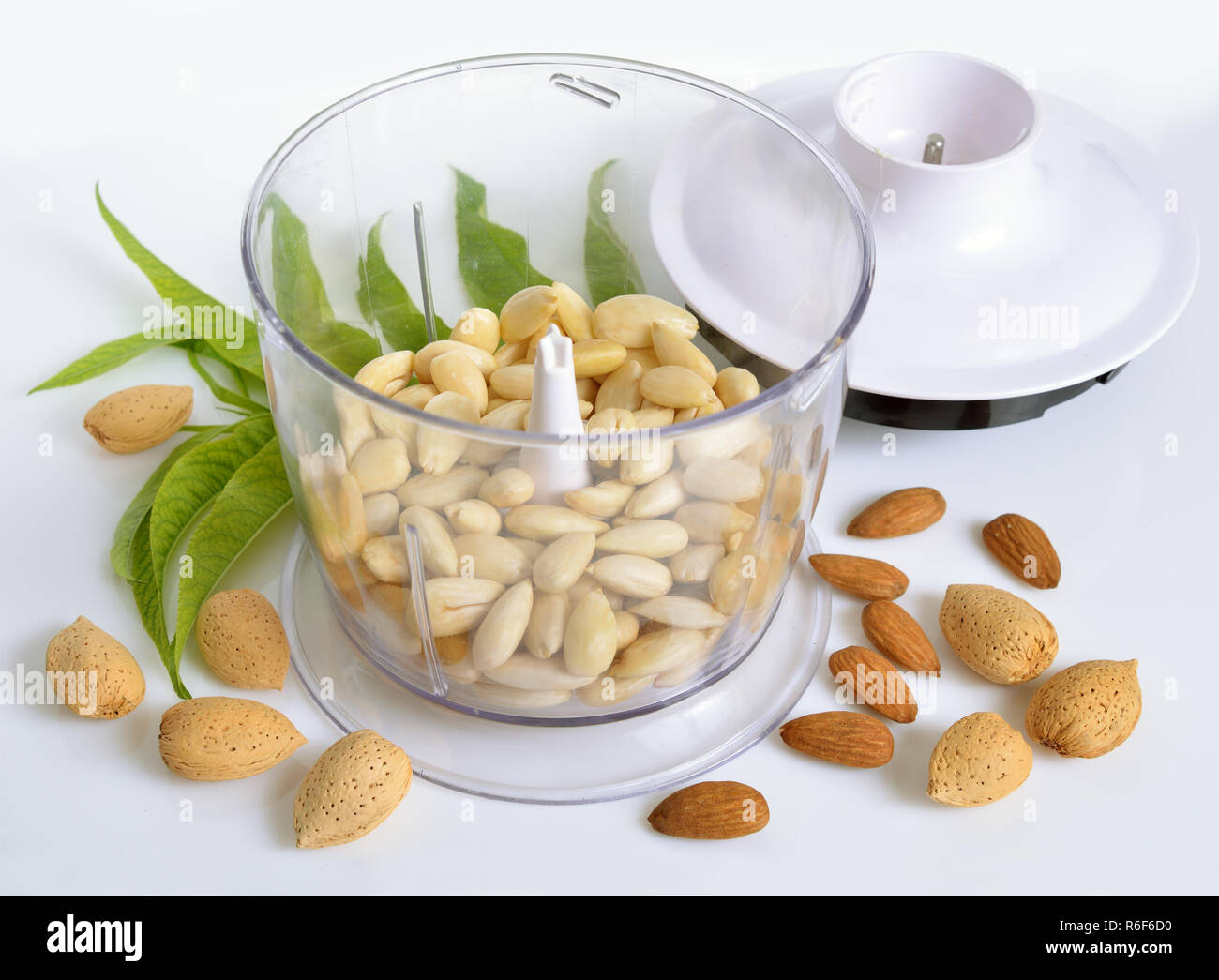 Blanch brown hi-res stock photography and images - Alamy