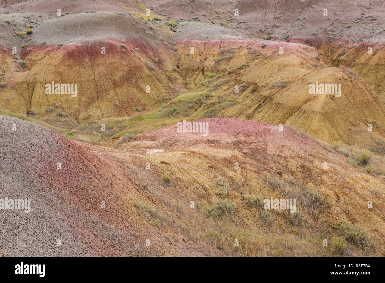 Cretaceous dakota formation hi-res stock photography and images - Alamy