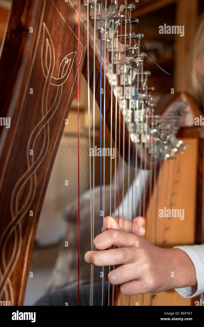 Vertical view of a harpist playing a harp Stock Photo - Alamy