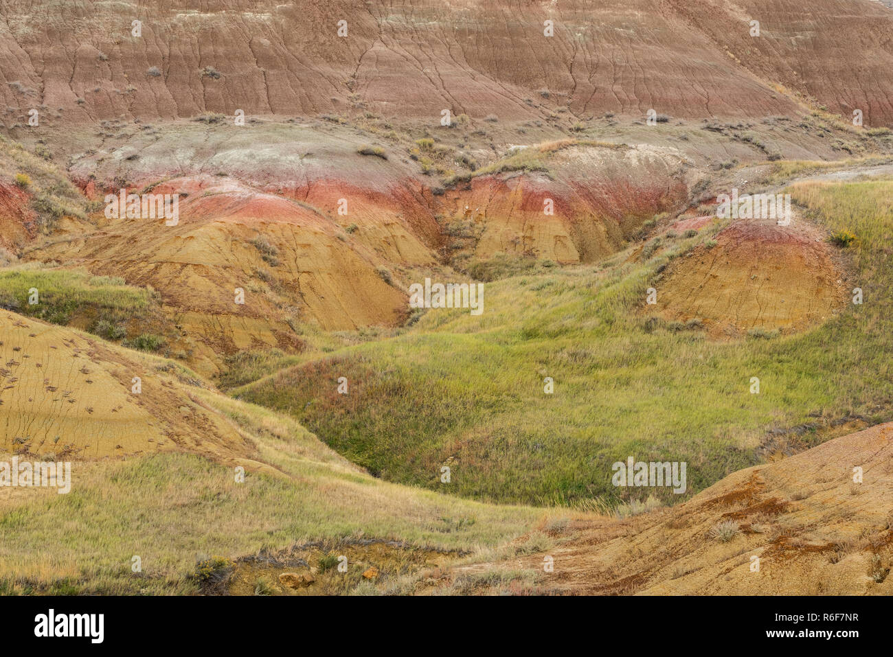Cretaceous dakota formation hi-res stock photography and images - Alamy