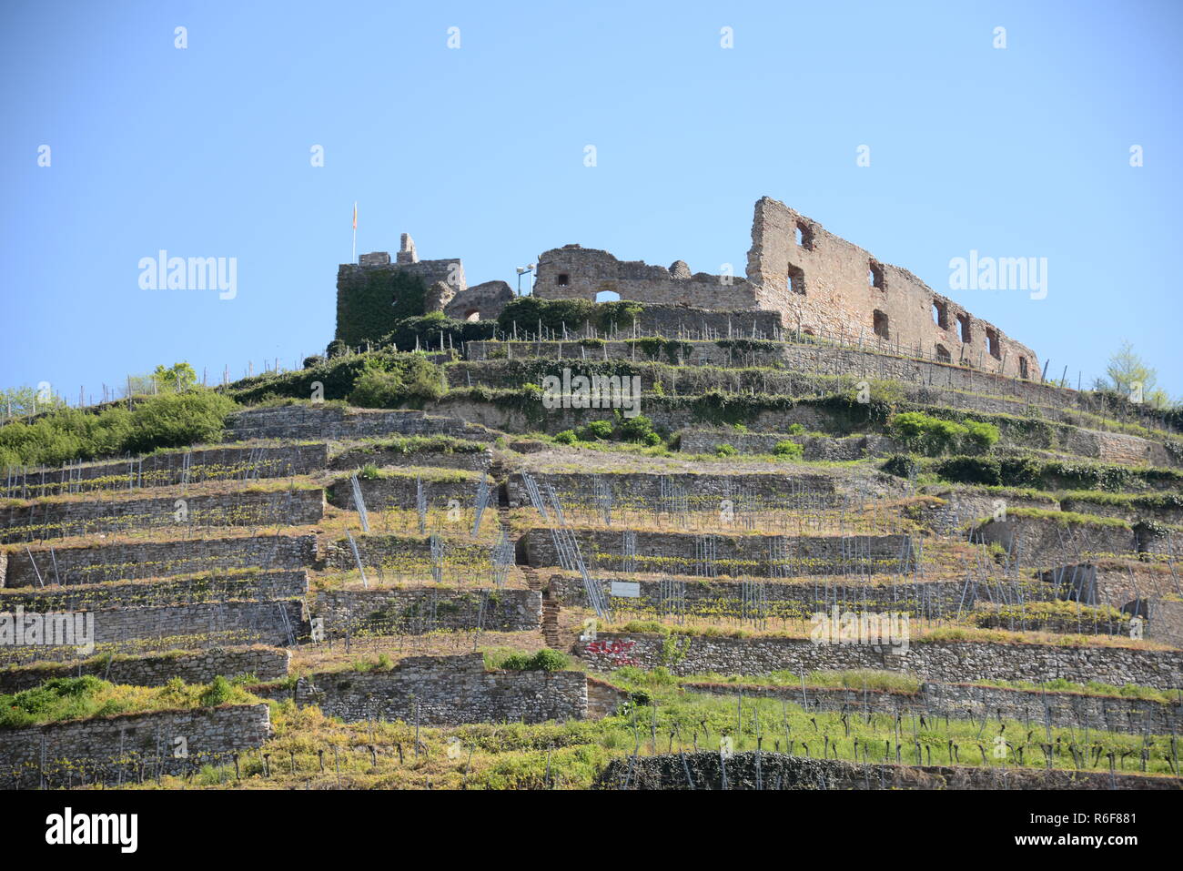 castle staufen im breisgau Stock Photo - Alamy