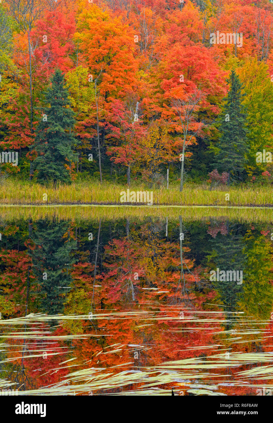 Reflection henvey inlet hi-res stock photography and images - Alamy