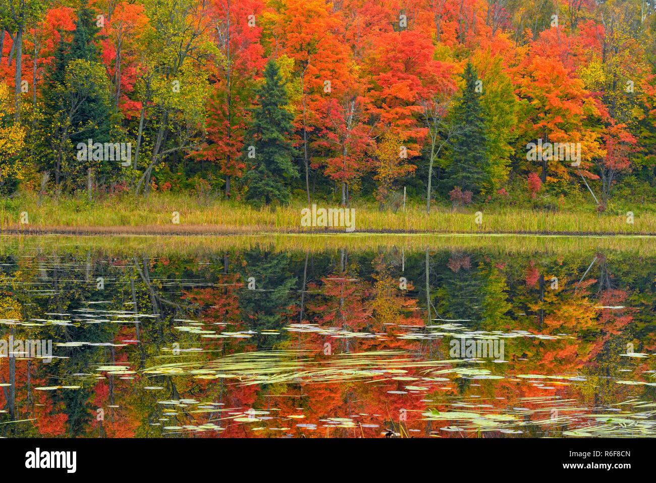 Reflection henvey inlet hi-res stock photography and images - Alamy