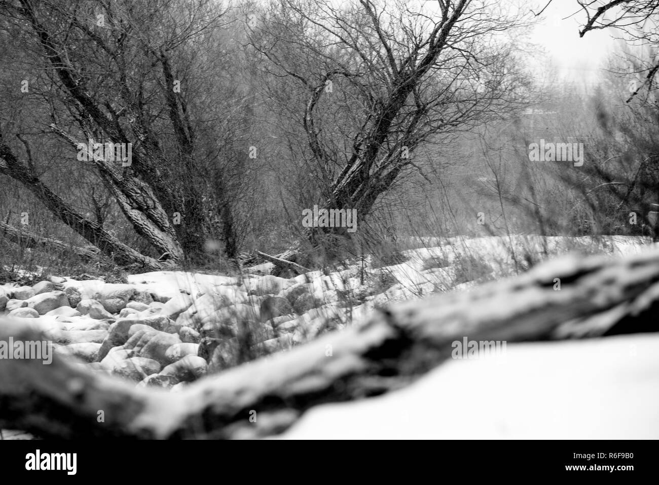 winter scenes from downtown Calgary Stock Photo - Alamy