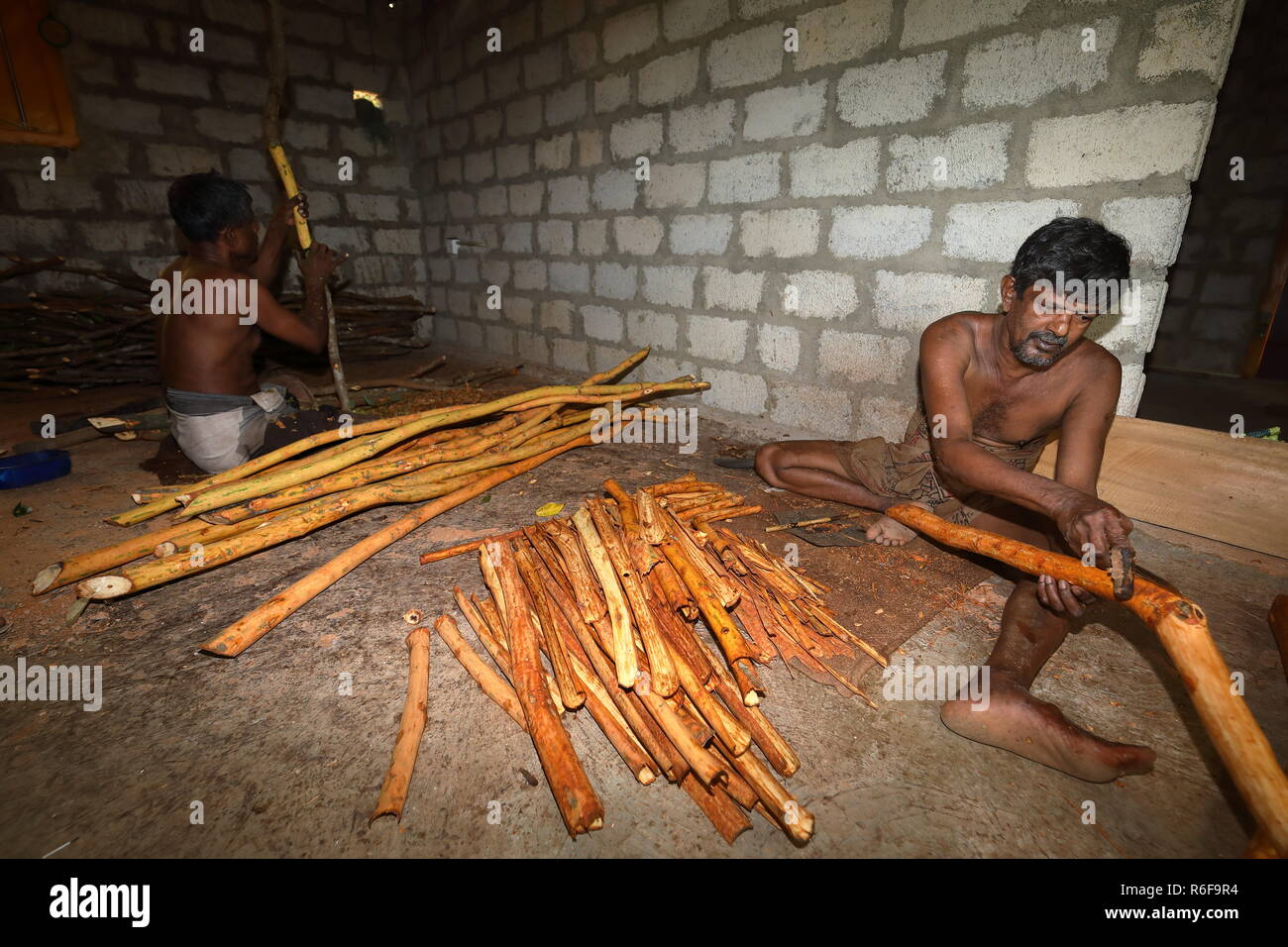 Cinnamon production hi-res stock photography and images - Alamy