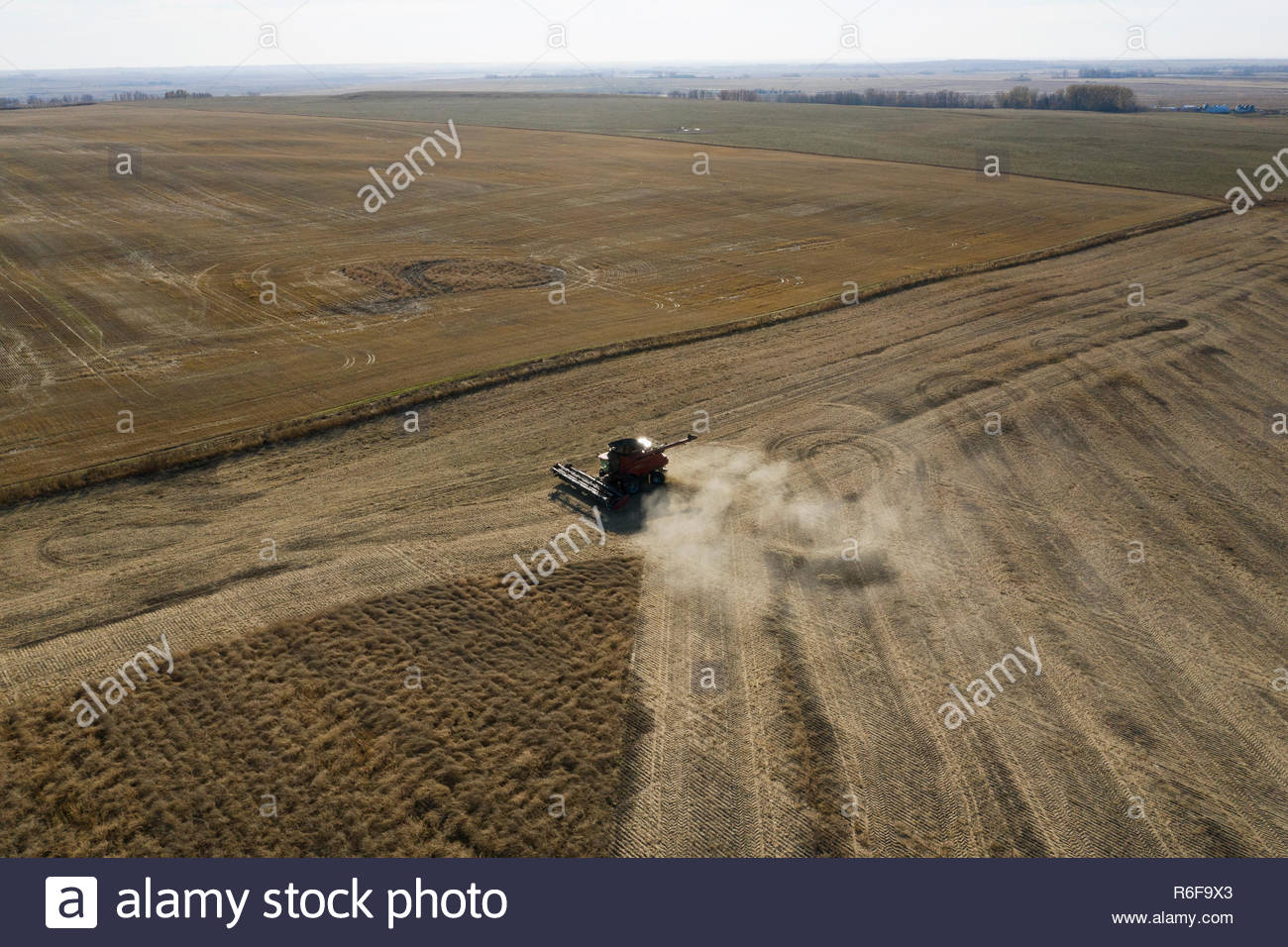 Aerial view combine harvester hi-res stock photography and images - Alamy