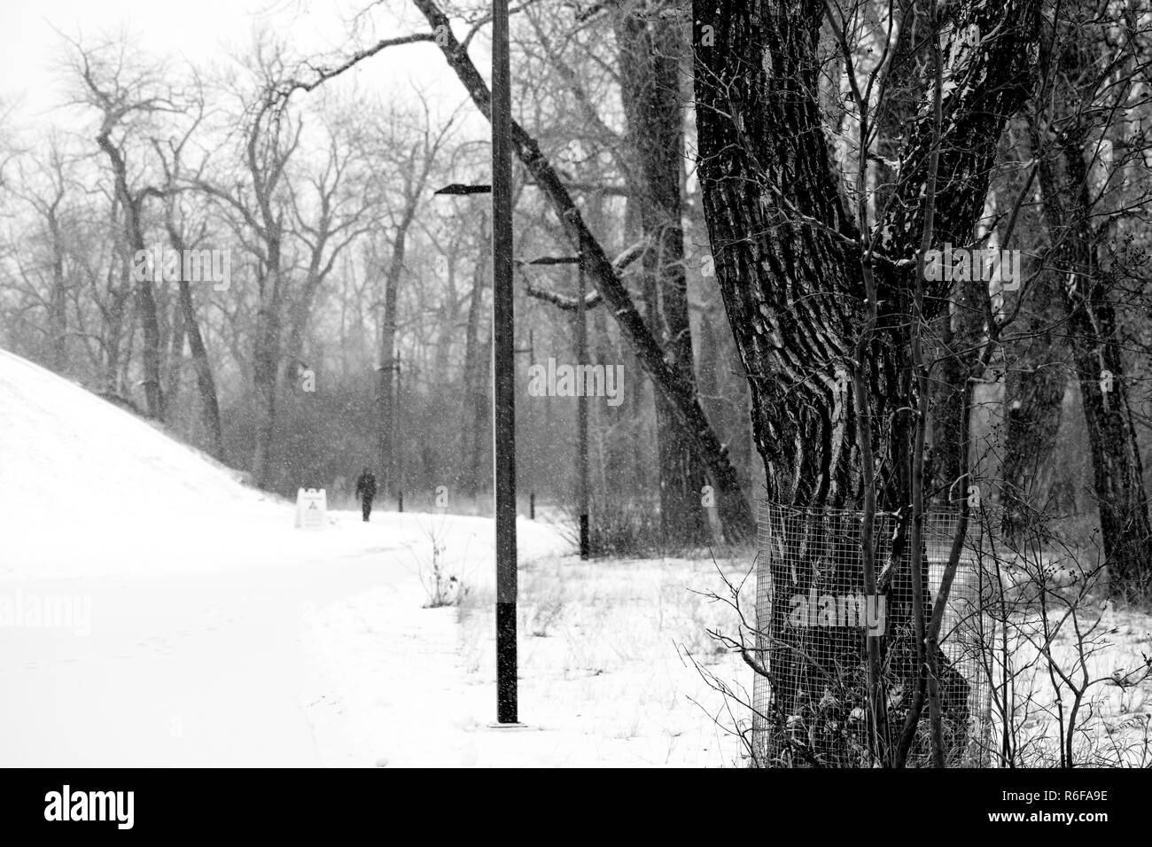winter scenes from downtown Calgary Stock Photo - Alamy