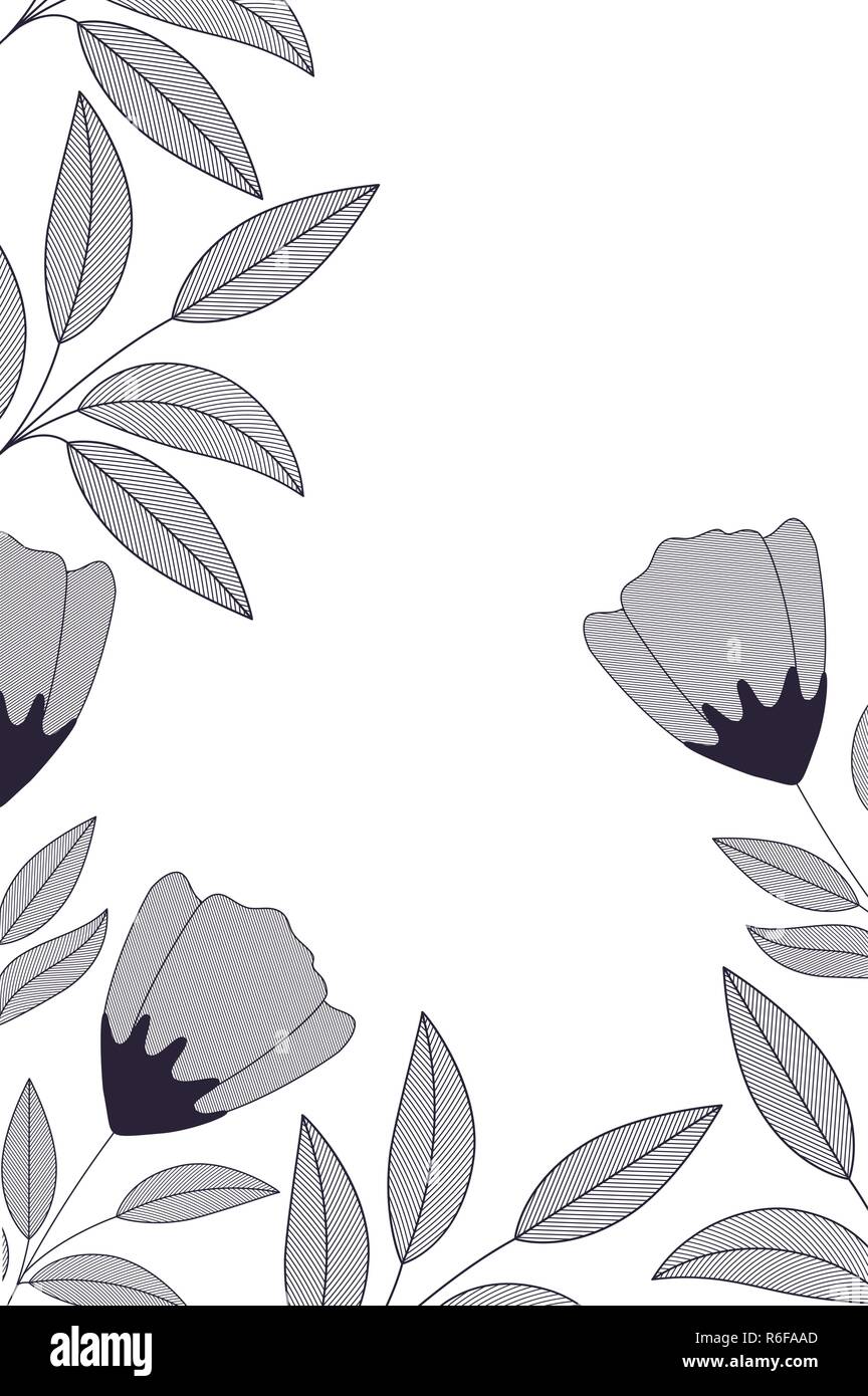 frame with flowers and leaves isolated icon Stock Vector Image & Art ...