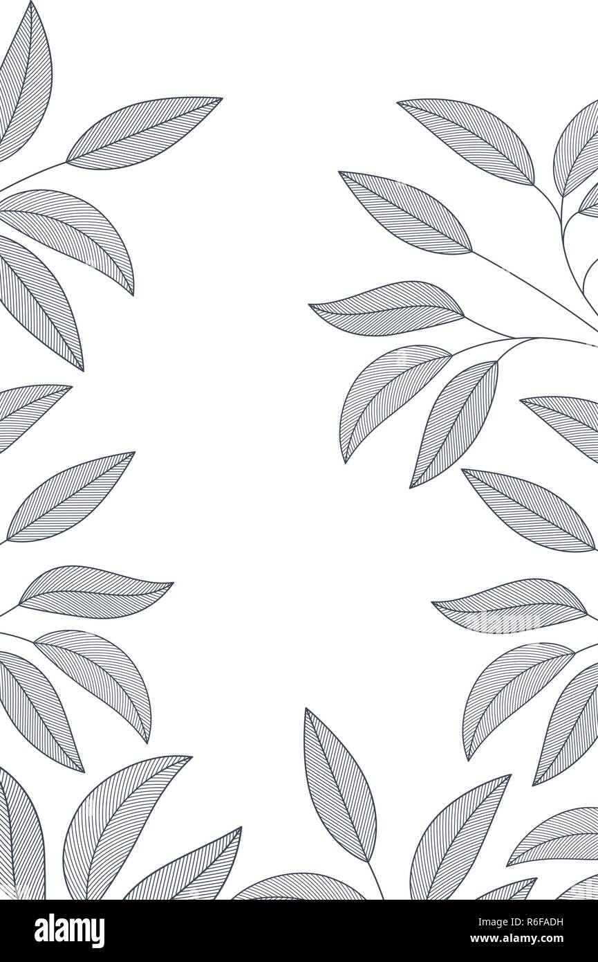 frame with flowers and leaves isolated icon Stock Vector Image & Art ...