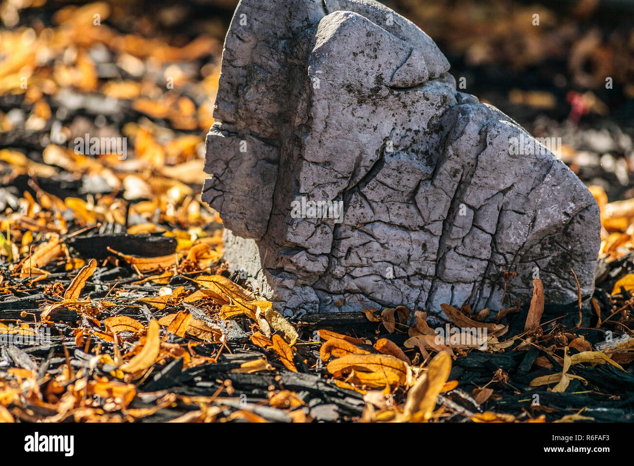 Withered leaves hi-res stock photography and images - Alamy