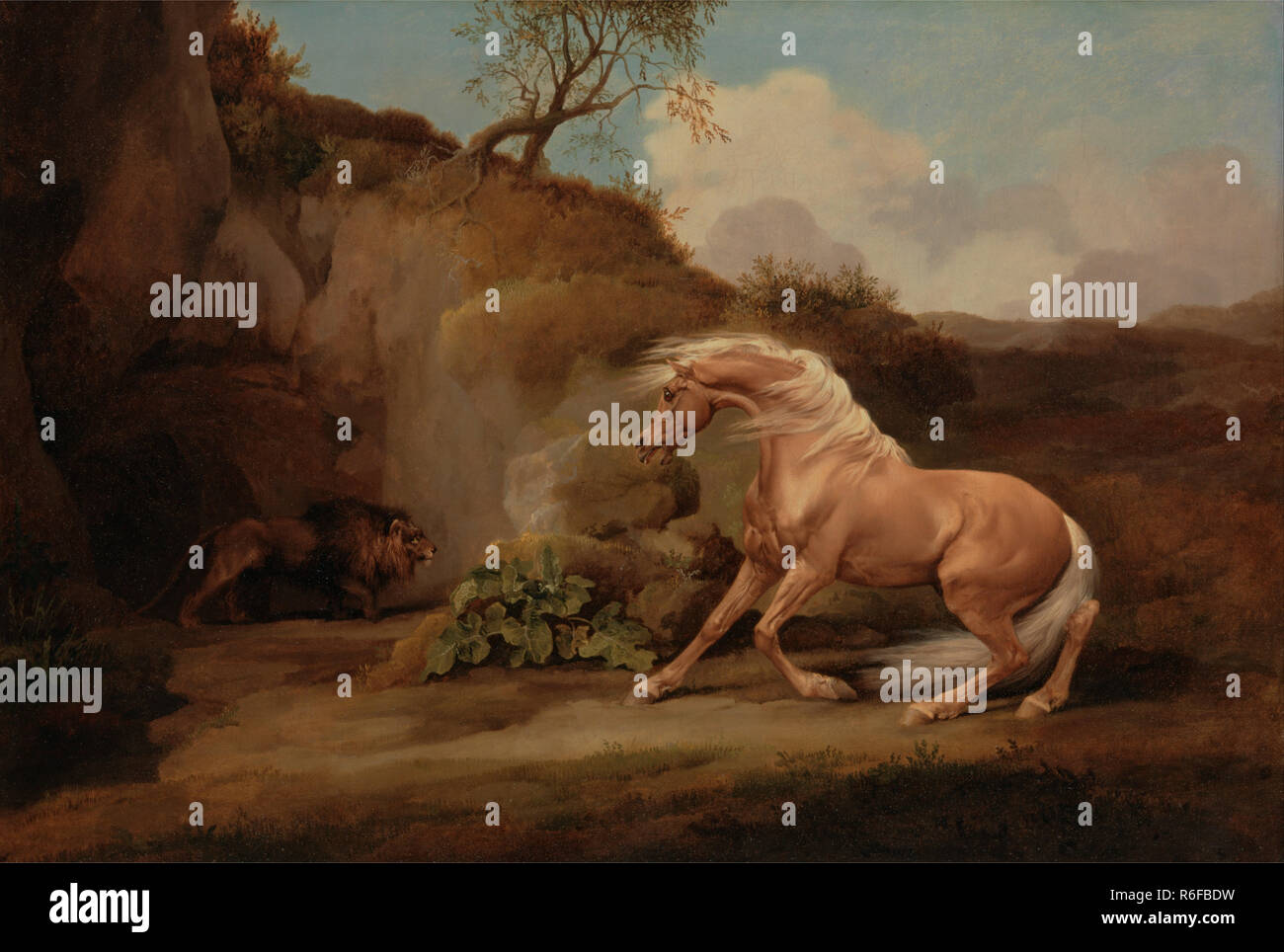 The frightened lion hi-res stock photography and images - Alamy