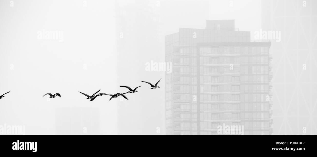 winter scenes from downtown Calgary Stock Photo - Alamy