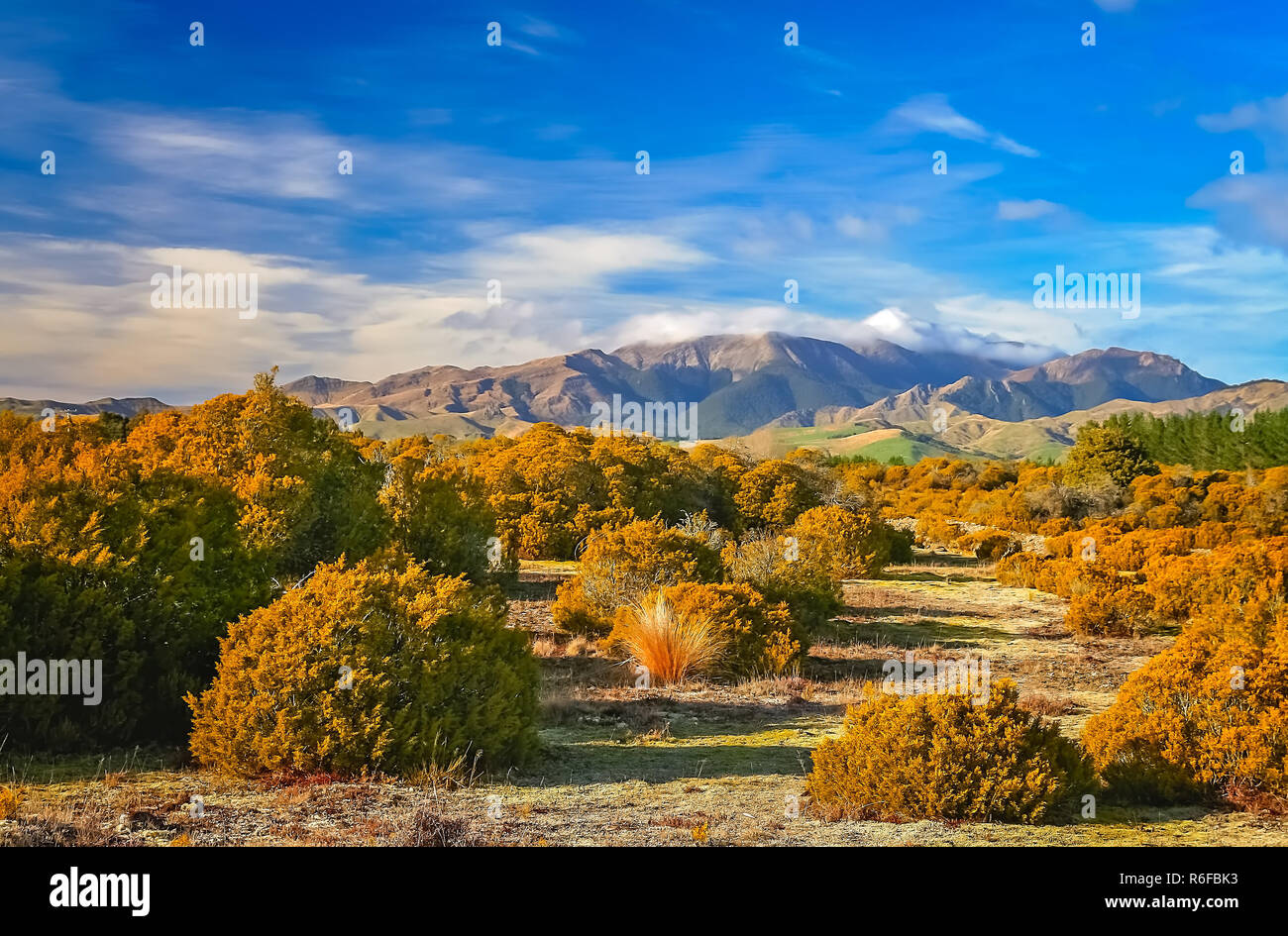 New Zealand South Island landscape Stock Photo - Alamy