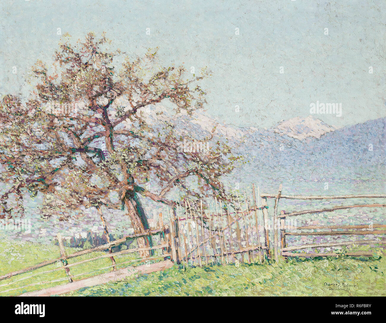 Palmie High Resolution Stock Photography and Images - Alamy