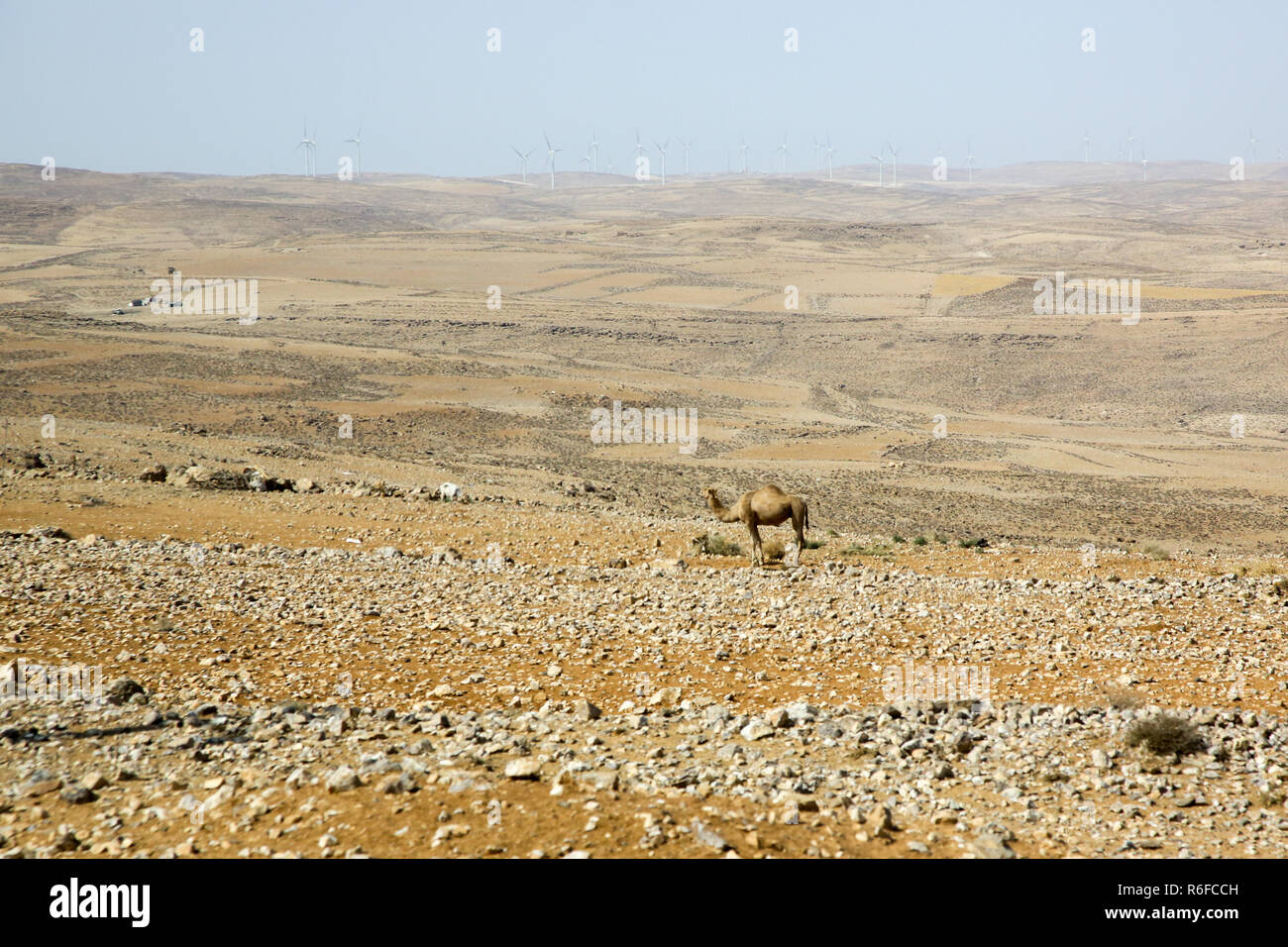 King's Highway, Jordan Stock Photo - Alamy