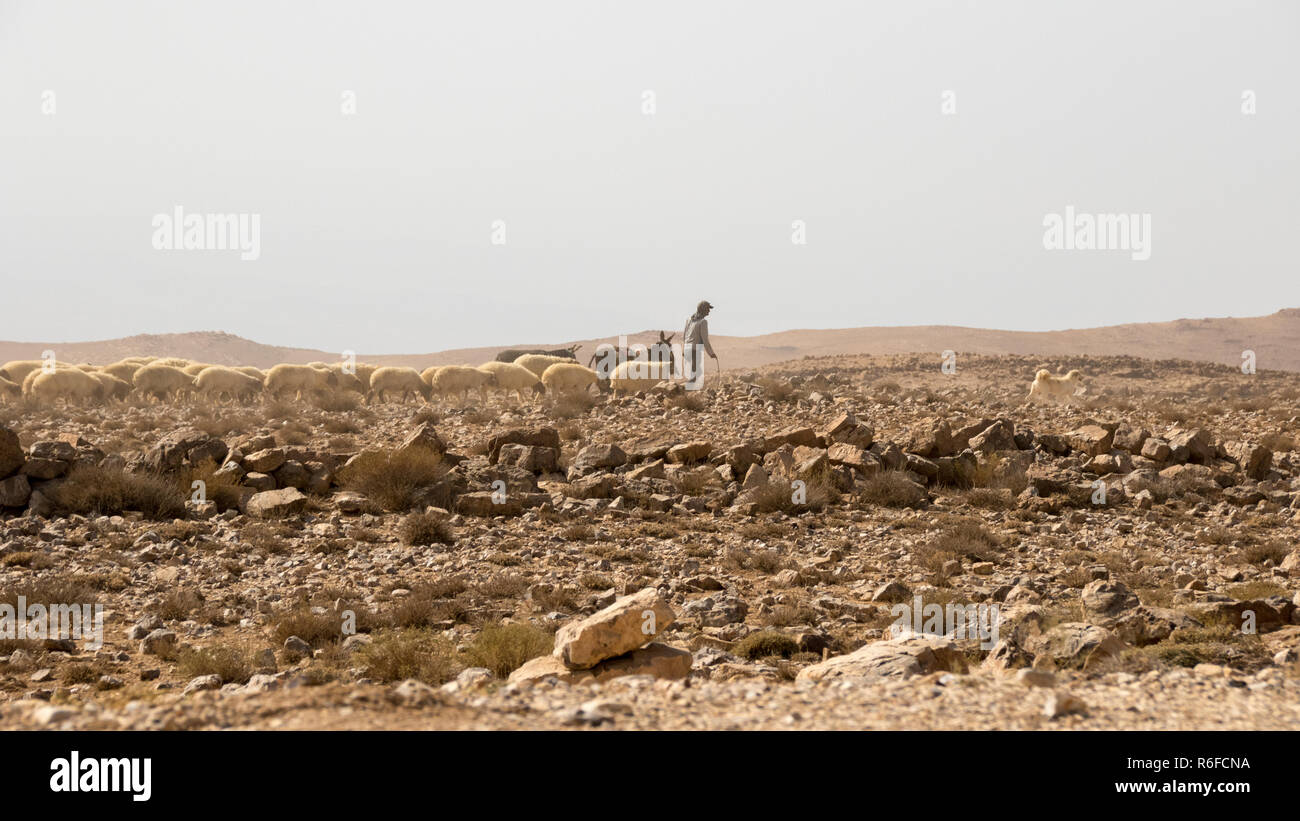 King's Highway, Jordan Stock Photo - Alamy
