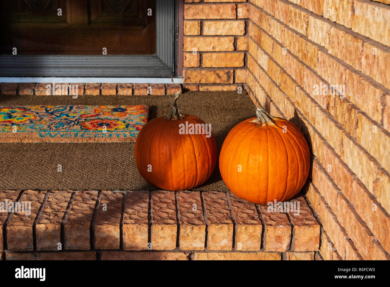 Two mid-sized pumpkins, Cucurbita pepo or winter squash, sitting on the ...