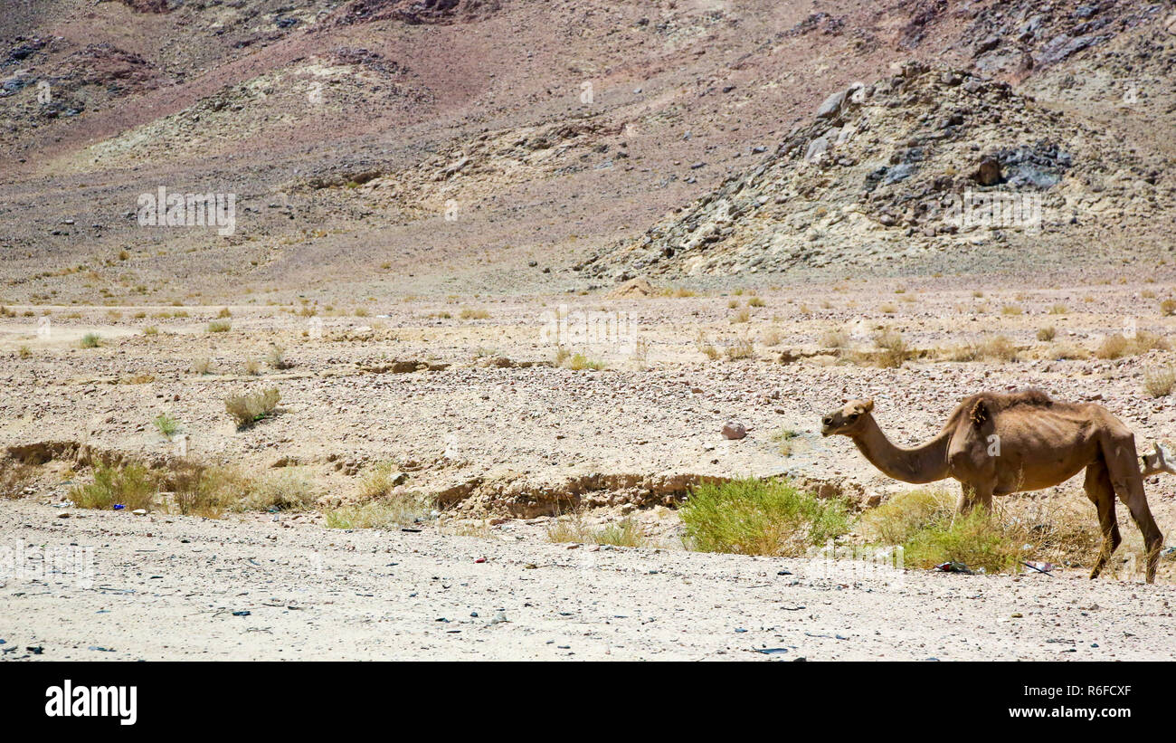 Wind turbines along highway hi-res stock photography and images - Alamy