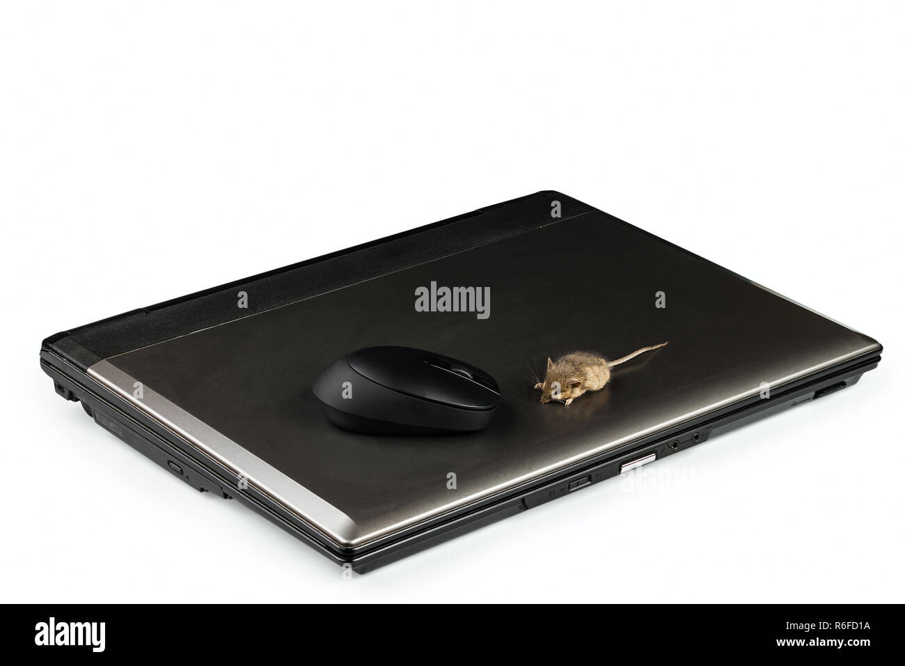 laptop, input equipment and mouse Stock Photo - Alamy